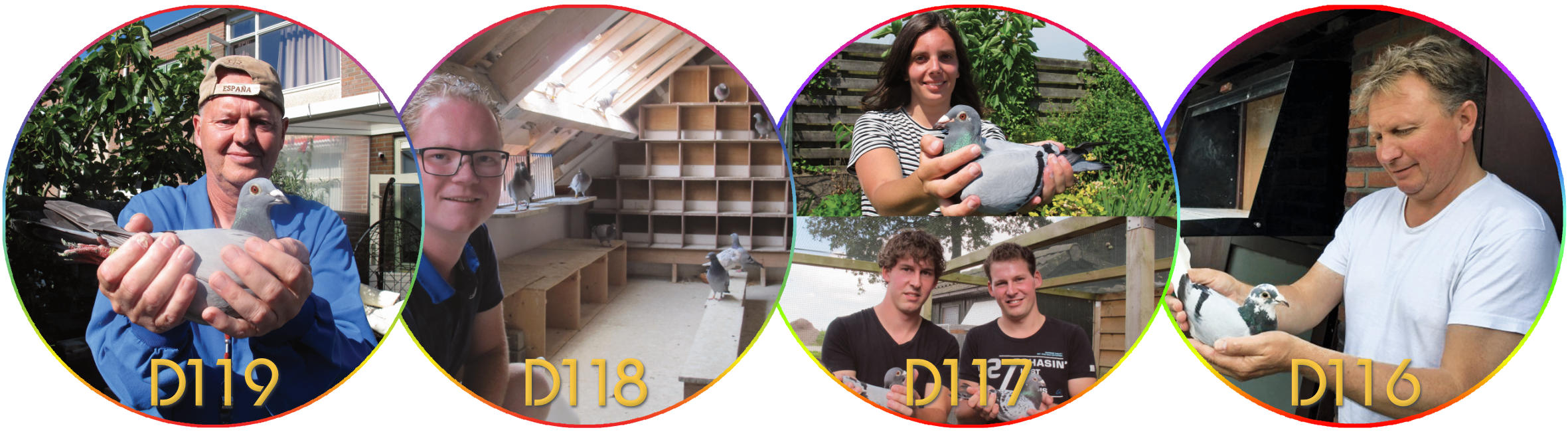 SONDERANGEBOT: D116 bis D119 für € 60.00